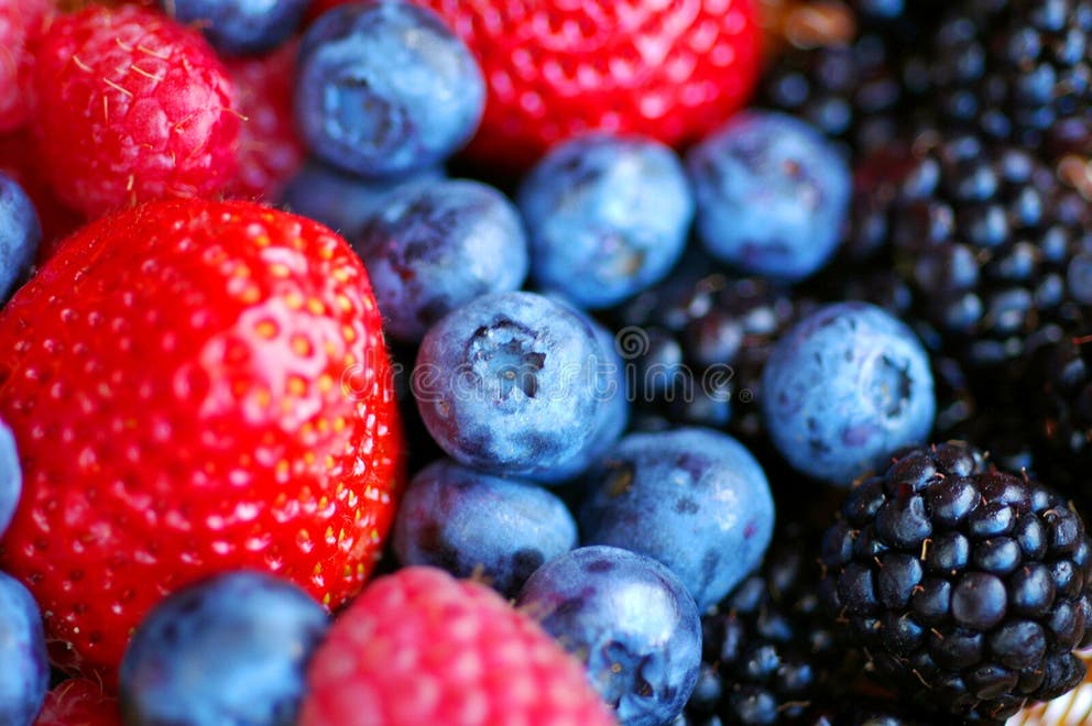 Forest fruits - berries stock photo. Image of black, texture - 1051872