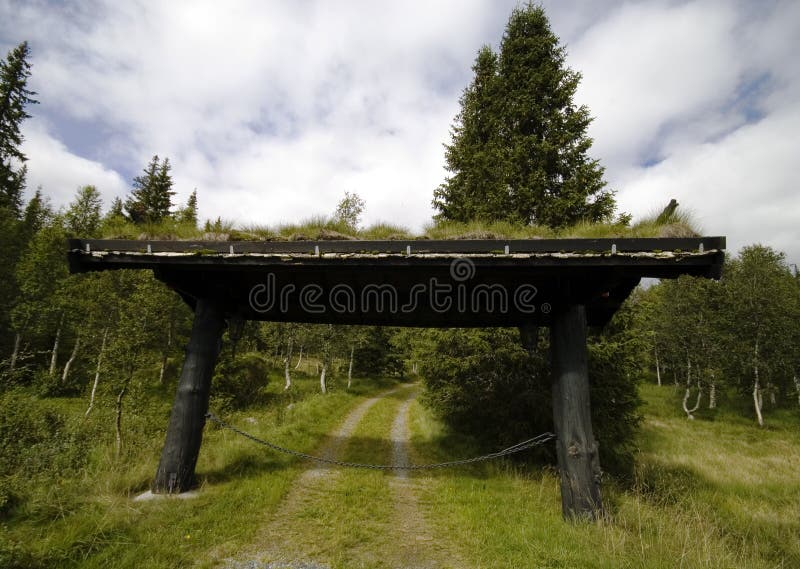 Forest gate stock image. Image of tree, road, grassy, doorway - 3010461