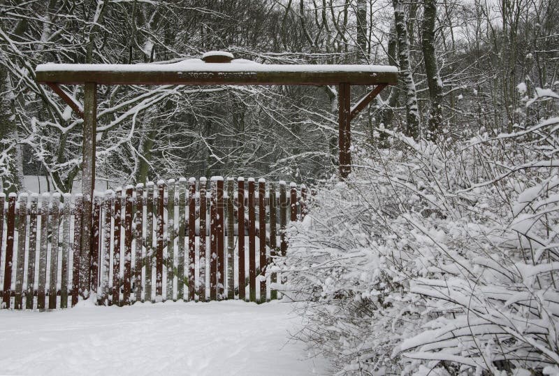 The forest gate stock image. Image of bangsbo, snow, season - 60423997