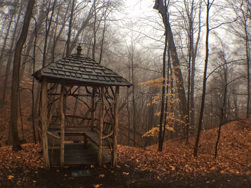 Forest gazebo stock image. Image of woods, autumn, forest - 65055965