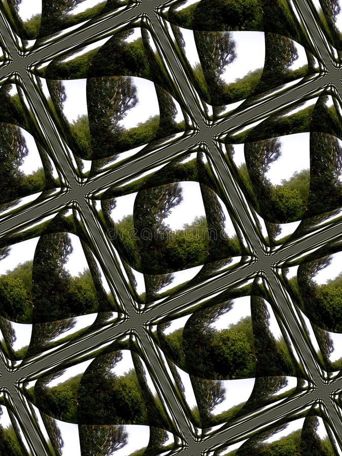 Forest Glass stock image. Image of reflected, forest - 45398699