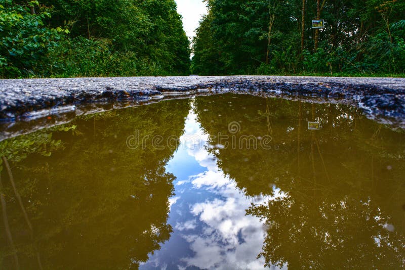 Forest glimpse of sky stock image. Image of lake, glimpse - 258849881
