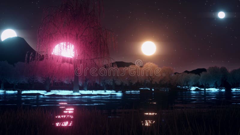 The Forest of the Glowing Lake by Night - Loop Nature Landscape Motion ...