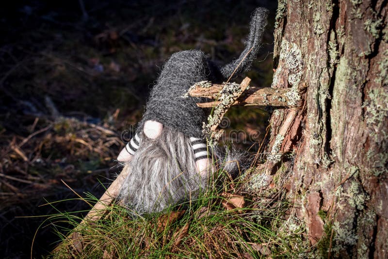Forest gnome by pine tree stock image. Image of forest - 82026709