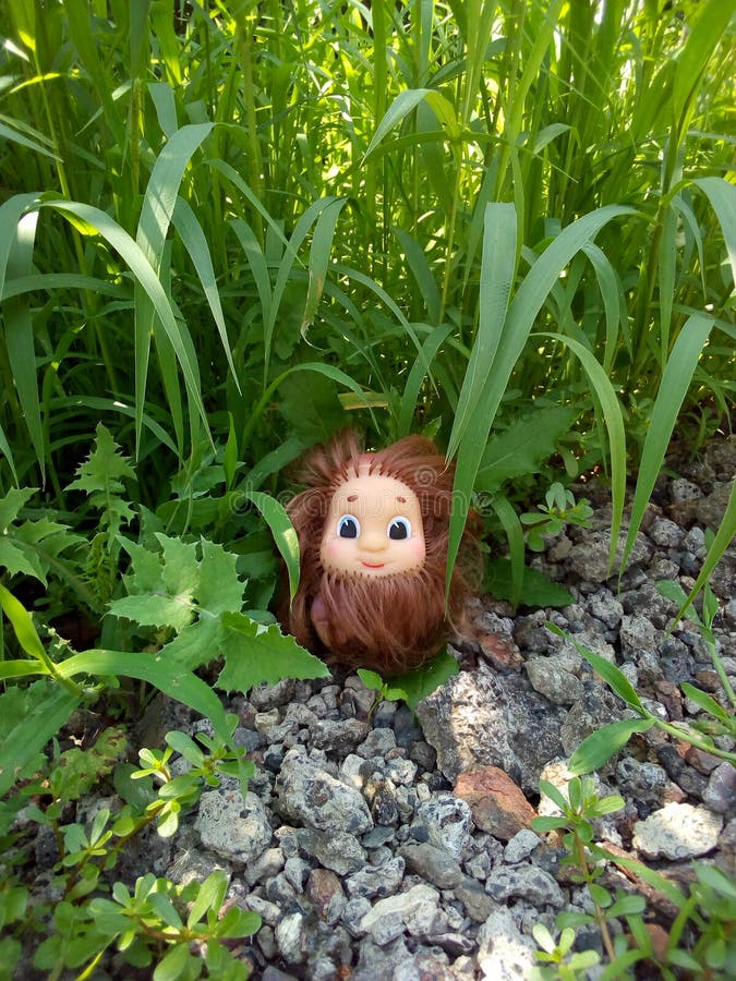 Forest Gnome in Hands with Amanita Stock Image - Image of arms, happy ...