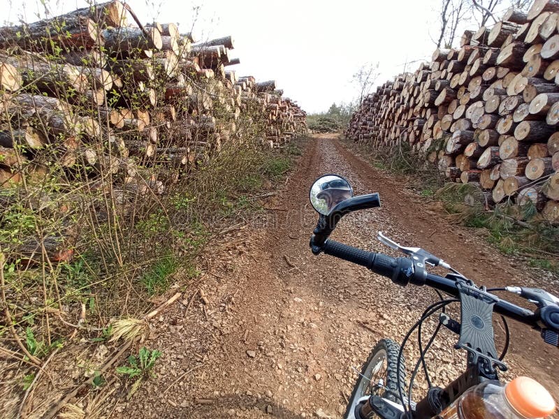 Forest Gone Bye Bye Off Road Stock Photo - Image of forest, road: 220684824