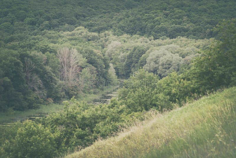 Forest Gorge at the Foot of the Hills Stock Image - Image of alpine ...