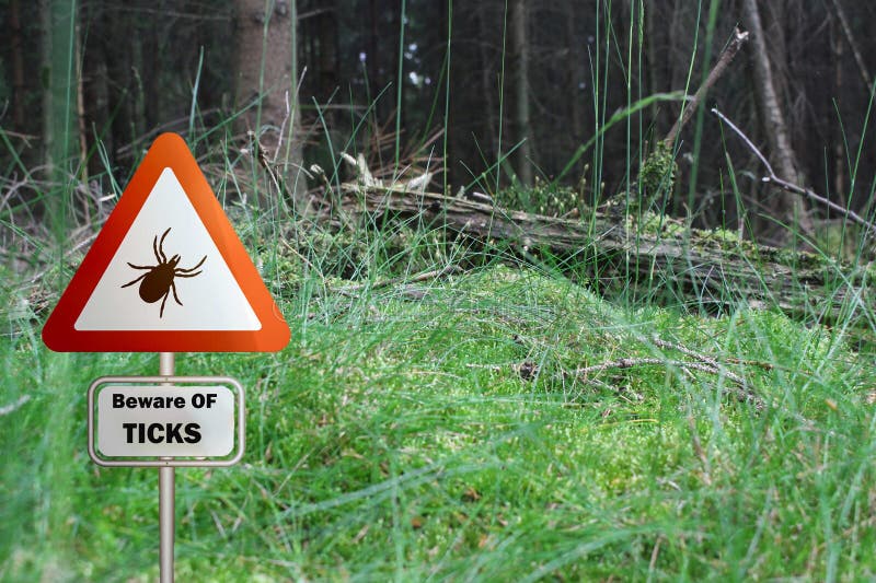 Warning Sign for Infected Ticks in a Forest. Risk of Tick and Lyme ...
