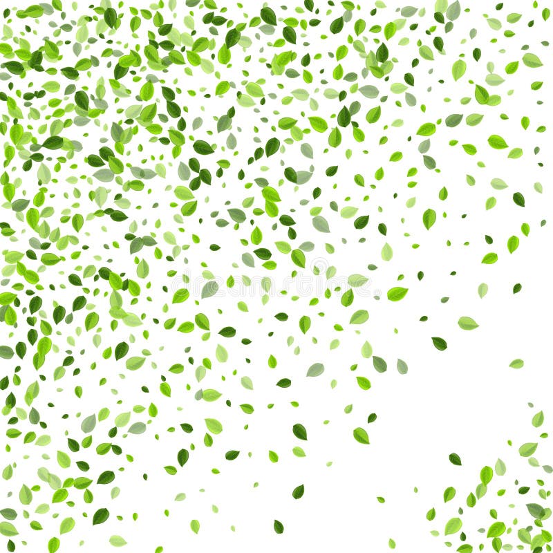 Forest Greens Falling Vector Template. Swirl Leaf Stock Vector ...