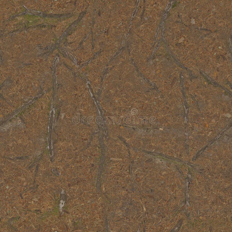 Forest Ground Albedo Map, Diffuse Map Texture Stock Illustration ... Forest Ground Albedo Map, Diffuse Map Texture Stock Illustration ...