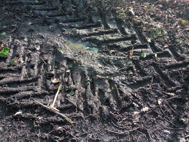 Mud tracks stock photo. Image of nature, path, slippery - 36718