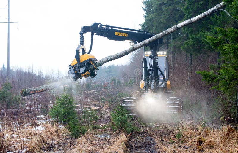 Details of a Tree Cutting Machine Tool Stock Photo - Image of forestry ...