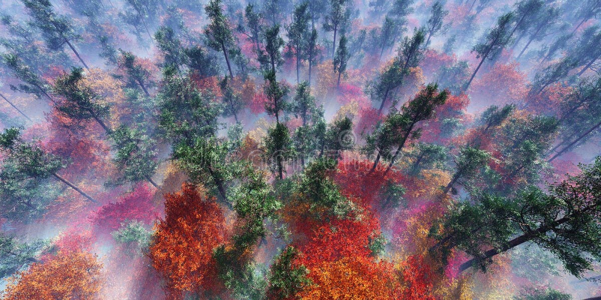 Forest Hdri Stock Illustrations – 398 Forest Hdri Stock Illustrations ...