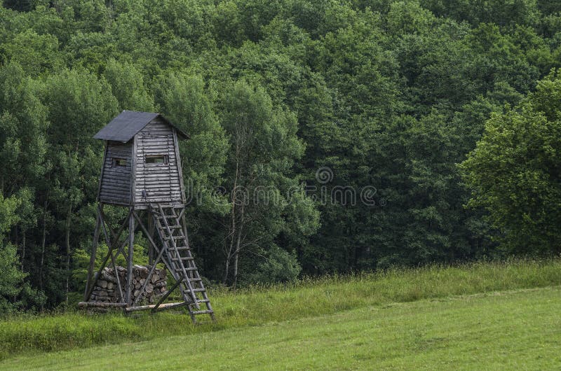 Forest hide stock image. Image of park, meadow, leisure - 90146369