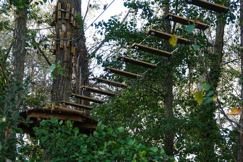 Forest high wire park stock photo. Image of physical - 382067040