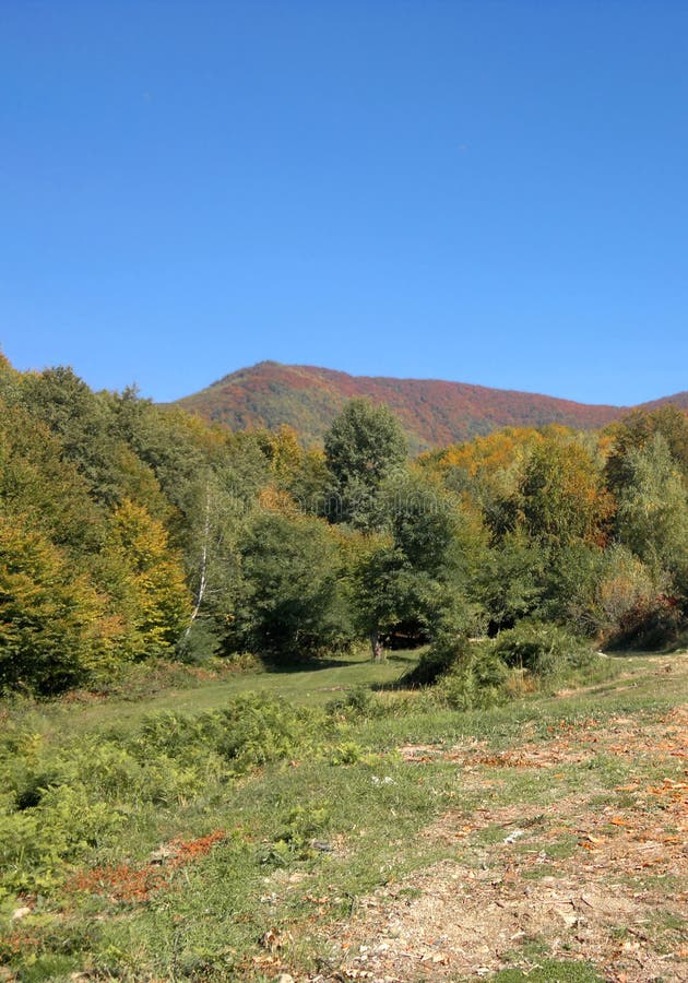 Forest hill 2 stock image. Image of blue, dirt, outdoor - 51846205