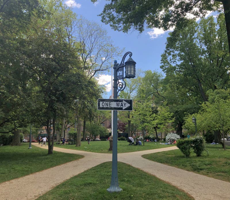Forest Hills Lamp Post in the Greenway Terrace Park Editorial Image ...