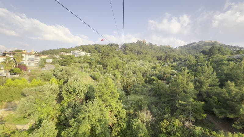 Forest hillside flag stock footage. Video of cliff, forest - 378641490