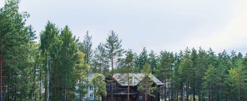 Forest House among the Trees Stock Image - Image of tree, countryside ...