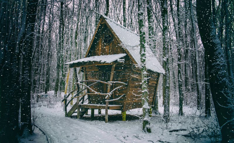 A Forest Hut in a Snowy Place Stock Photo - Image of scenic, tree ...