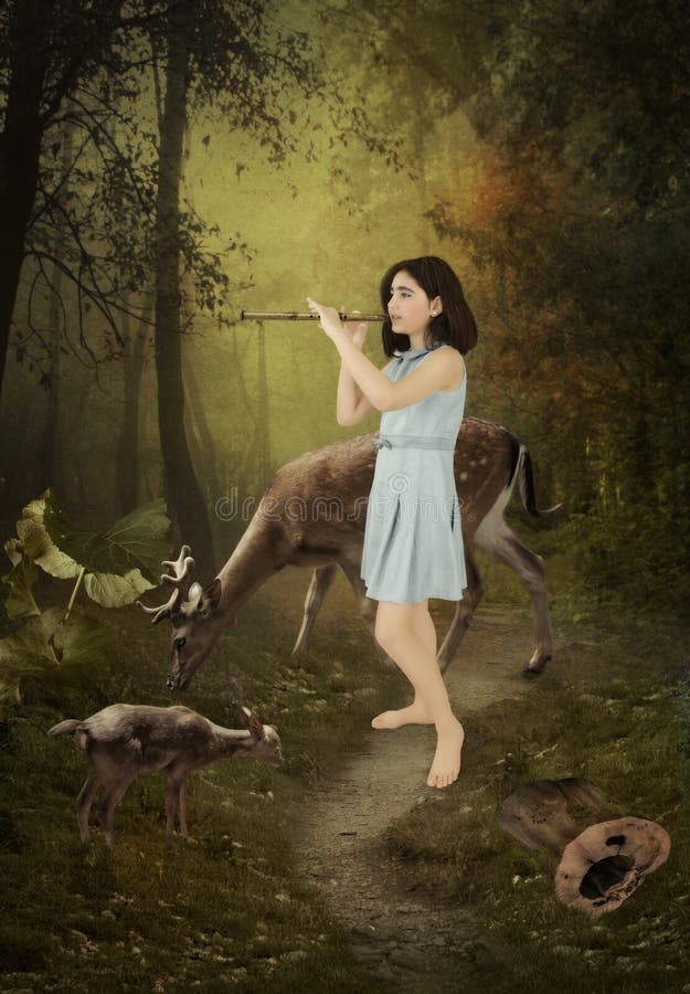 Forest idyll stock image. Image of light, music, idyllic - 55237531