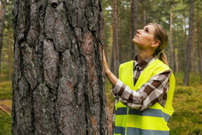 Forest Inspection and Management, Renewable Resources. Female Forestry ...