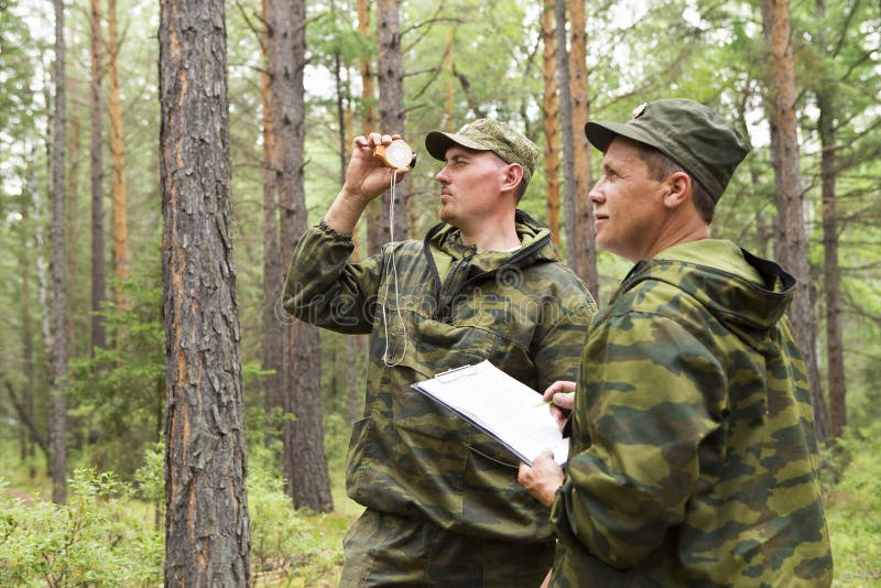Forest Inspectors Work in the Forest. Stock Photo - Image of forestry ...