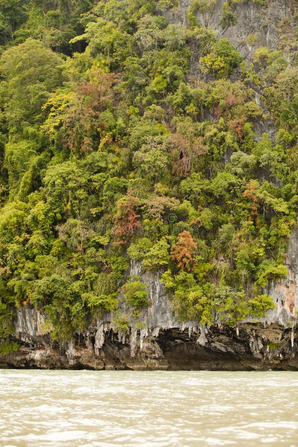 The forest islands stock photo. Image of island, outside - 23144710