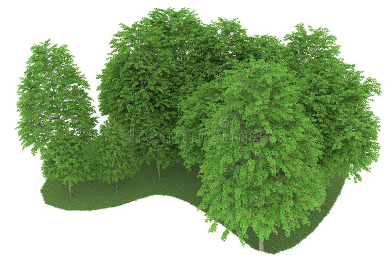 Forest Isolated on Background. 3d Rendering - Illustration Stock Image ...