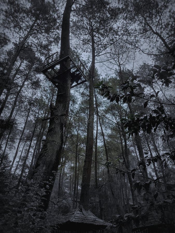 Cool West Java Island Stock Photos - Free & Royalty-Free Stock Photos ...