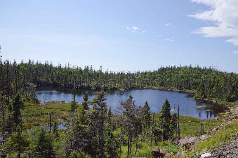 Forest lake stock photo. Image of empty, ontario, green - 28670176