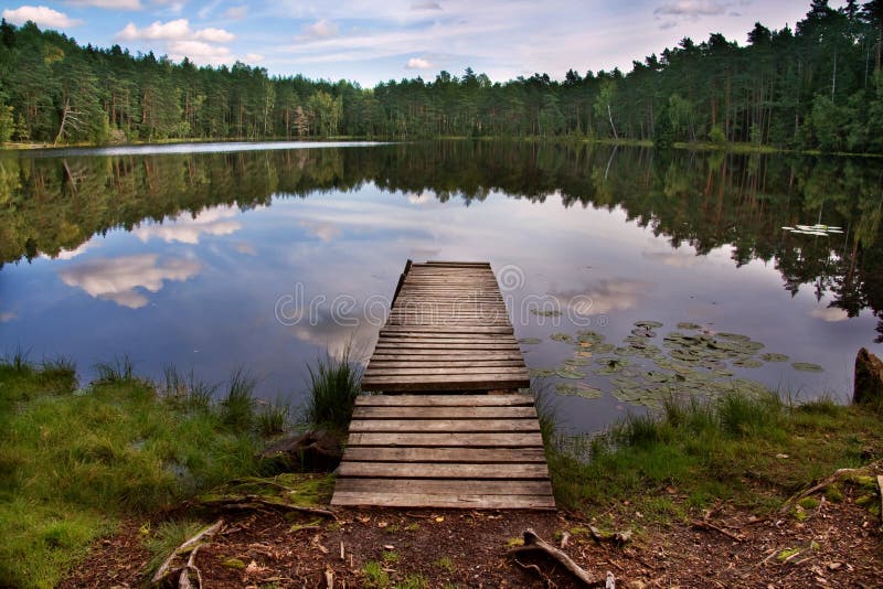 Forest lake stock photo. Image of lake, nature, reflection - 6682588