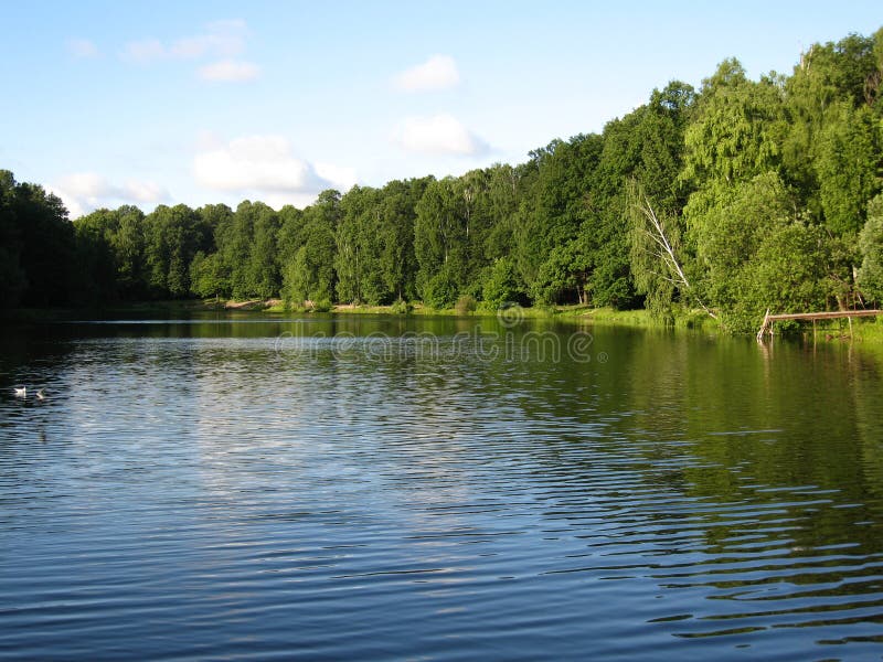 Forest lake stock image. Image of park, nature, river - 9557763
