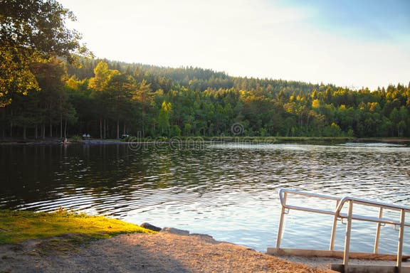 Forest Lake Beach Scene. Lake Beach in Forest Stock Image - Image of ...