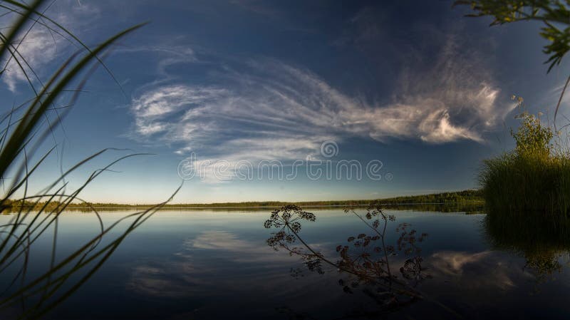Forest Lake in Calm Weather Stock Image - Image of smooth, water: 84023659