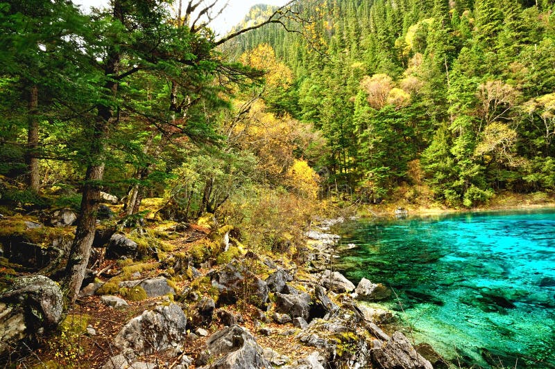 Forest and lake in China stock image. Image of asia, destination - 25468445