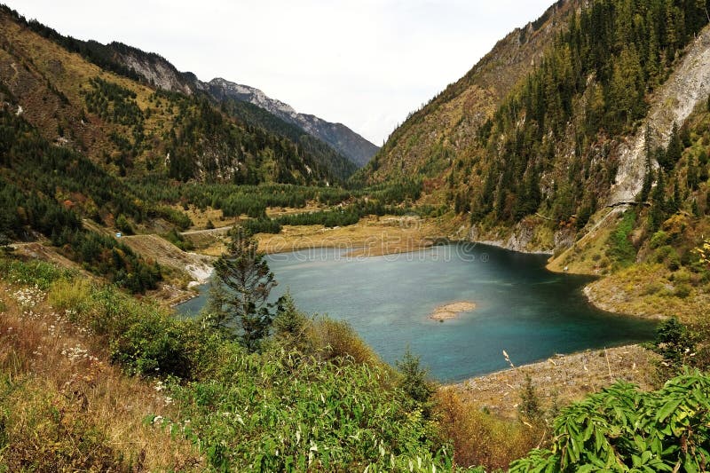 Forest and lake stock image. Image of idyllic, rural - 46787301