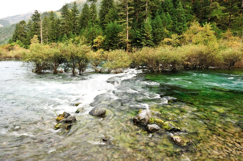 Forest and lake stock photo. Image of people, mountain - 47315574