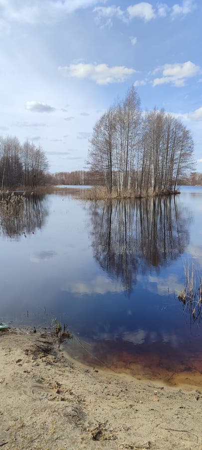Forest Lake and Duck Hunting. Stock Photo - Image of duck, fishing ...