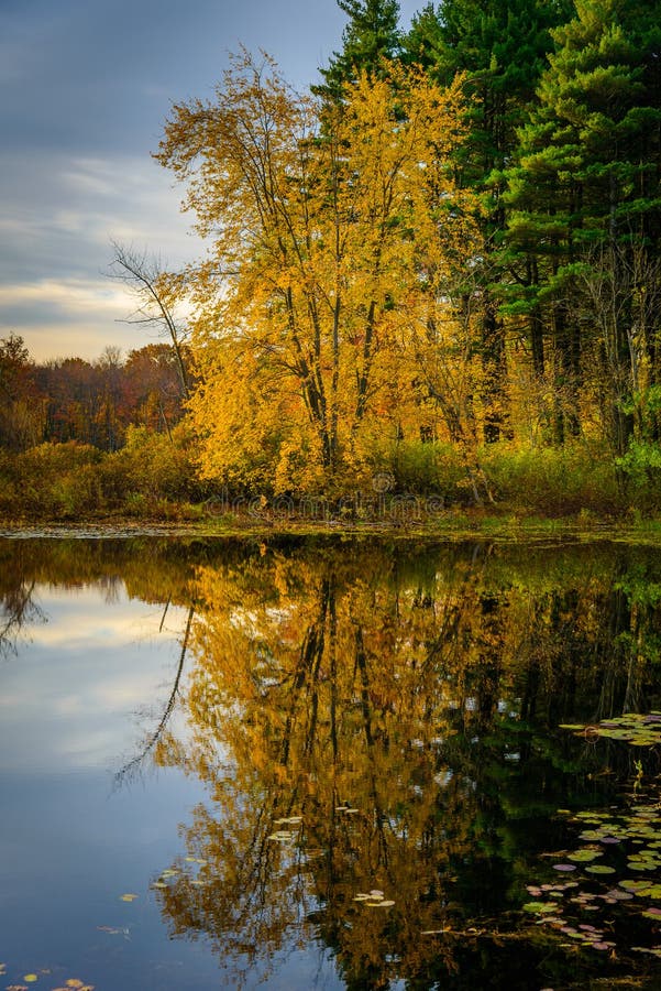 Forest Lake in Fall stock photo. Image of clouds, beauty - 33965940