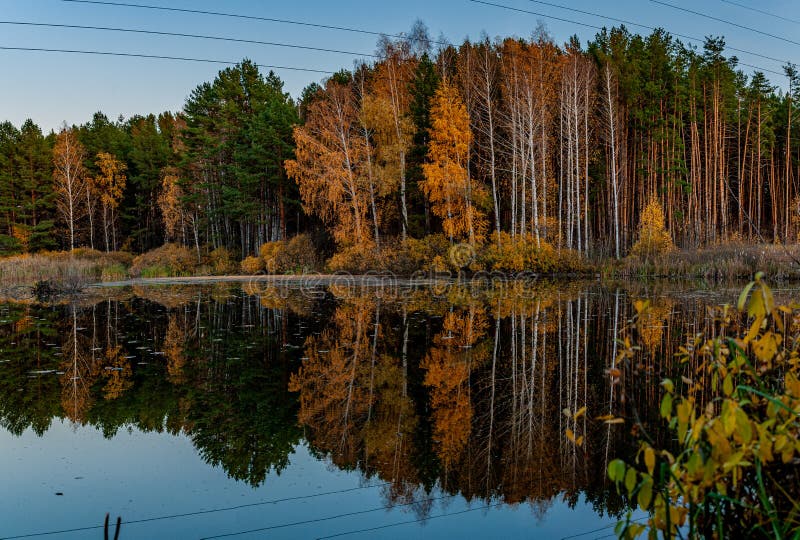 October Forest in the Reserve! Stock Image - Image of deciduous ...