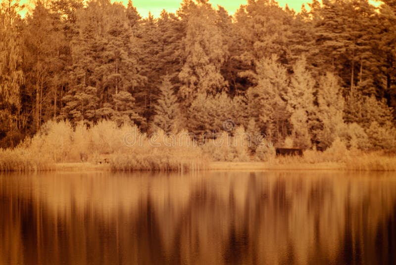 Forest by the Lake. Infrared Colored Image Stock Image - Image of river ...