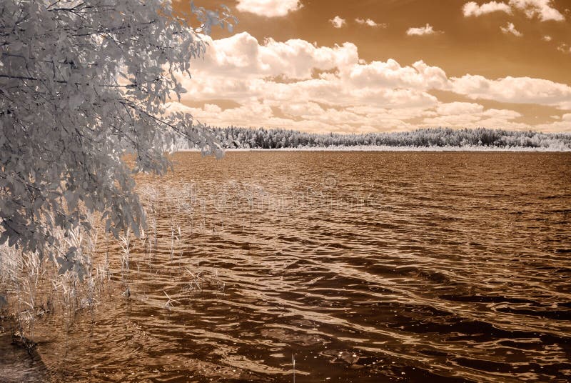 Forest by the Lake. Infrared Colored Image Stock Photo - Image of blue ...
