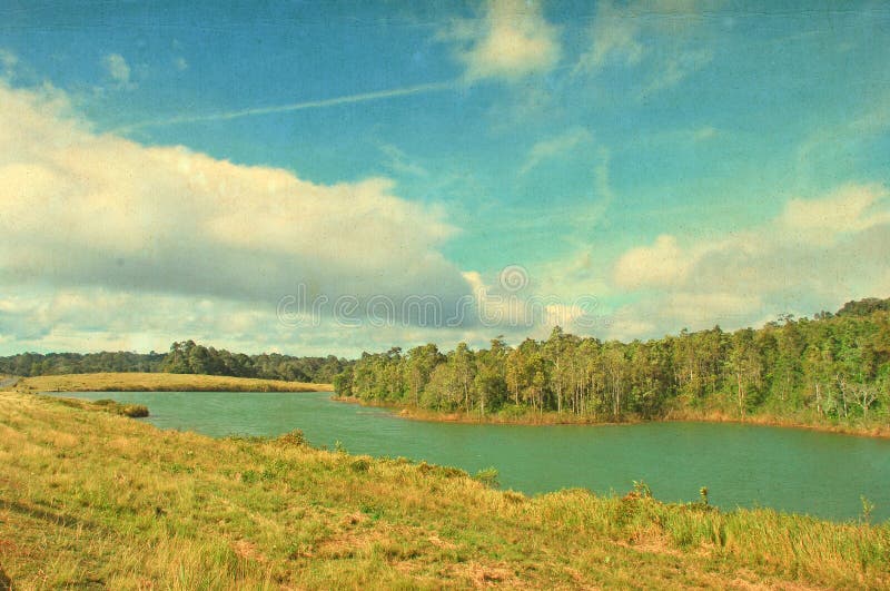 Forest and Lake Landscape Paper Texture Stock Photo - Image of aged ...
