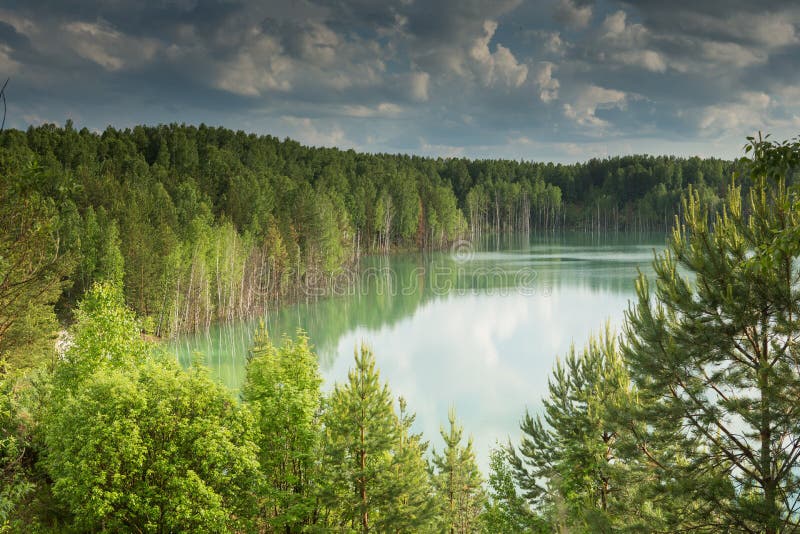 Forest Lake Landscape. View of the Blue Lake Forest Stock Image - Image ...
