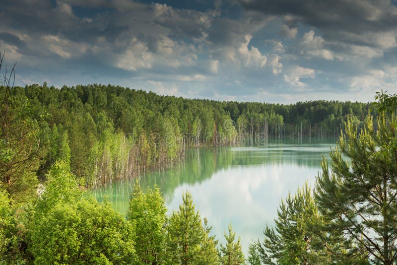 Forest Lake Landscape. View of the Blue Lake Forest Stock Photo - Image ...