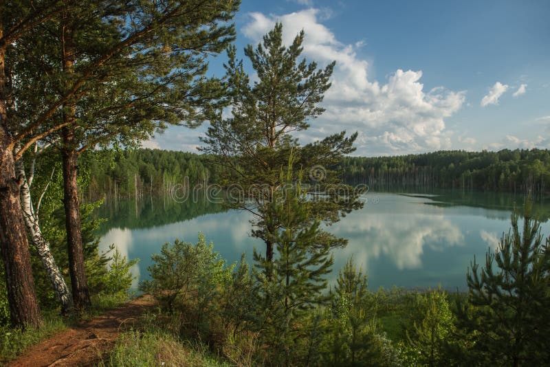 Forest Lake Landscape. View of the Blue Lake Forest Stock Photo - Image ...