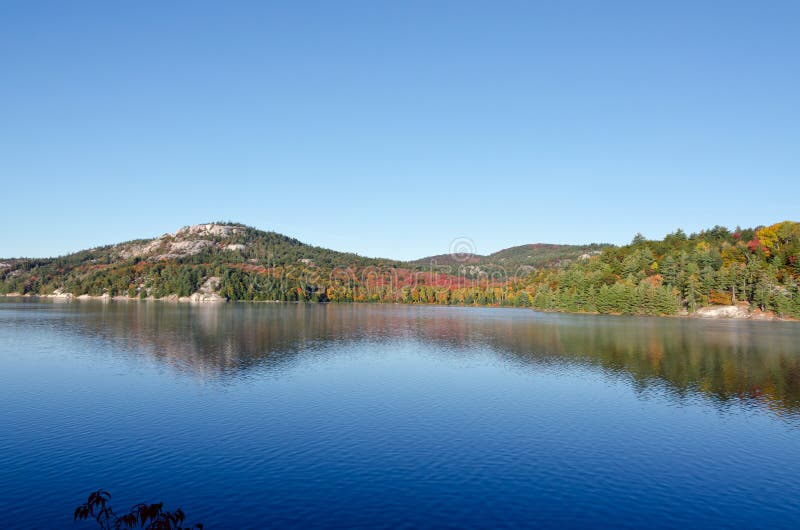 Forest lake stock photo. Image of vibrant, ontario, lake - 42344610