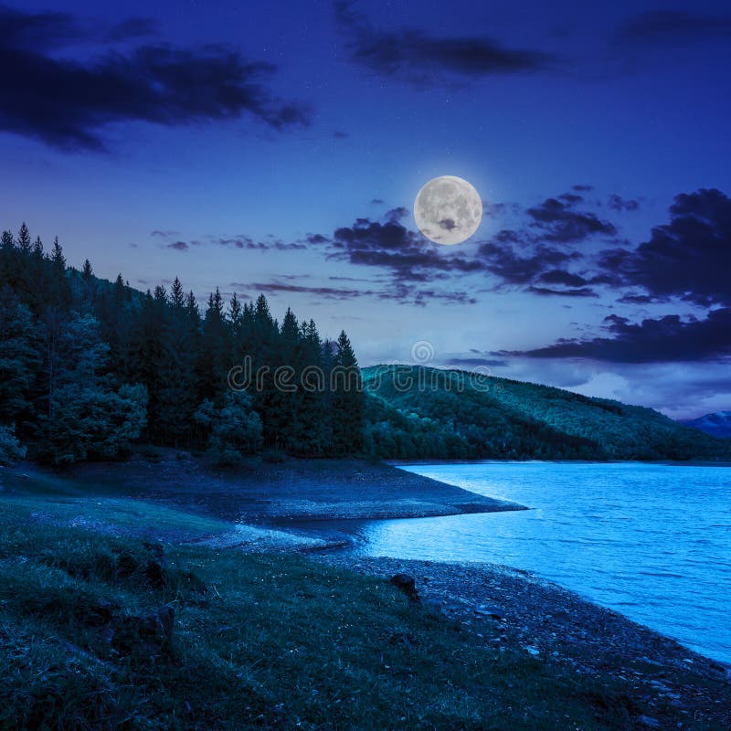 Forest and Lake Near the Mountain at Night Stock Photo - Image of green ...