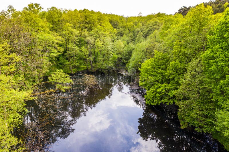 A Forest Lake Nestled in a Deciduous Forest in Spring Stock Image ...